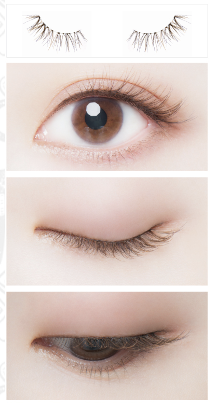 Salon Eyelash No.10 Perfect Brown Squirrel 2SET (Dolly Wink ...